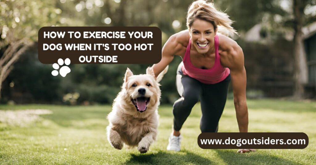 Dog Outside Temperature Chart: A complete Guide - Dog Outsiders