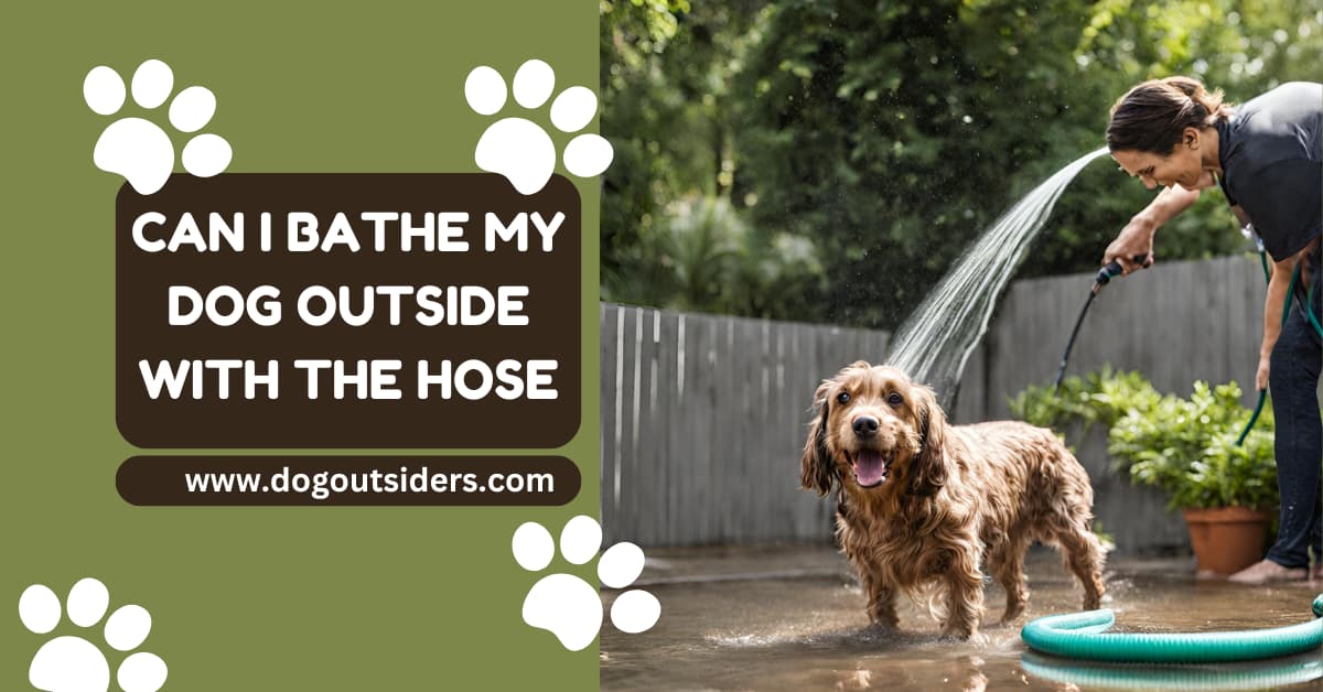 Can I Bathe My Dog Outside With The Hose: 8 Essential Tips - Dog Outsiders