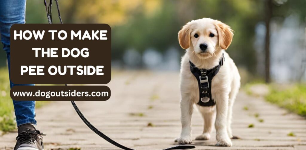 How To Make The Dog Pee Outside:Best Tips - Dog Outsiders