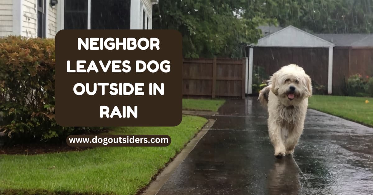 Dog Outside Temperature Chart: A complete Guide - Dog Outsiders