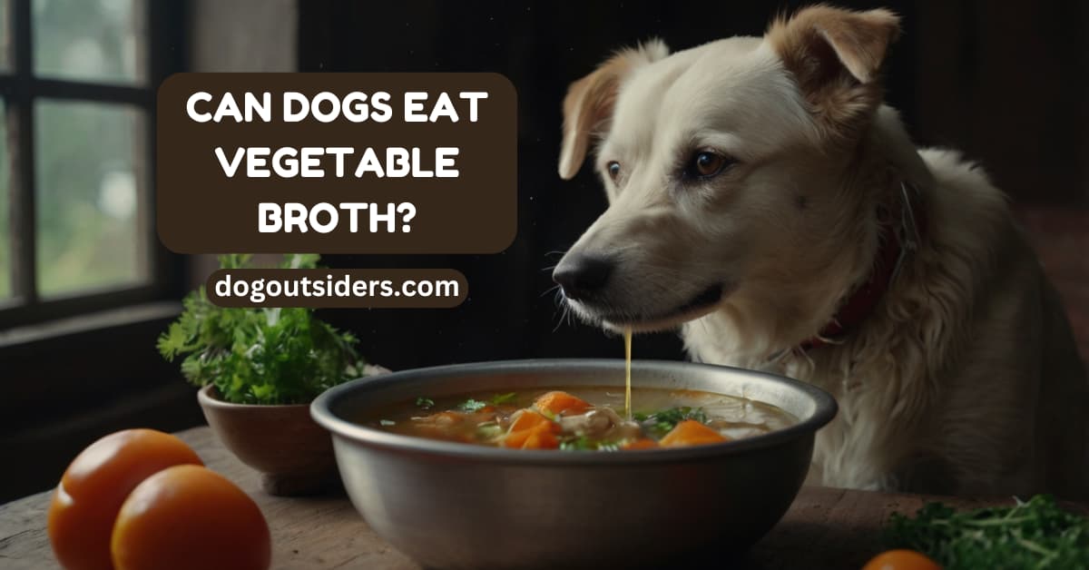 Cool Can Dogs Have Vegetable Broth Photos
